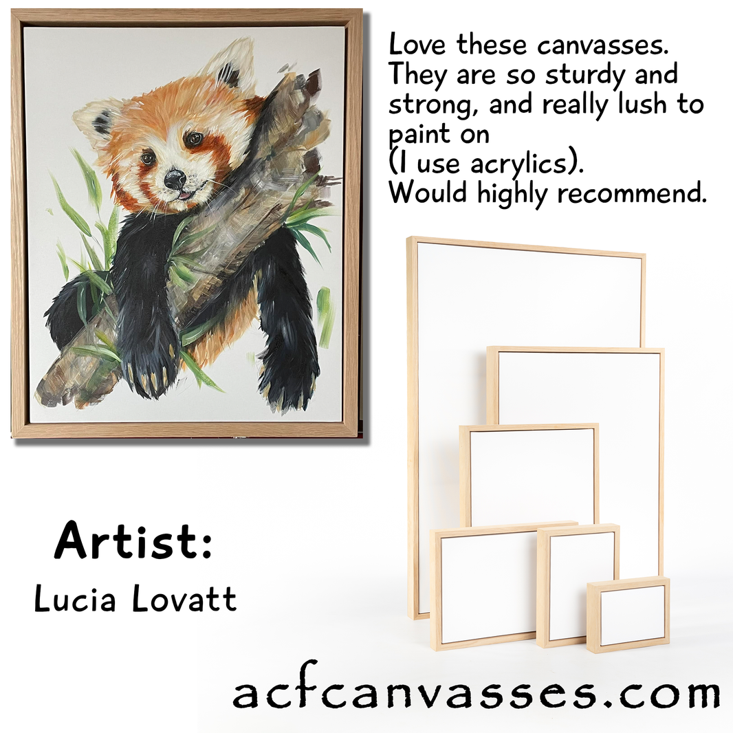 ACF Canvasses | Wholesale Canvas | Canvas For Painting | Bulk Canvas